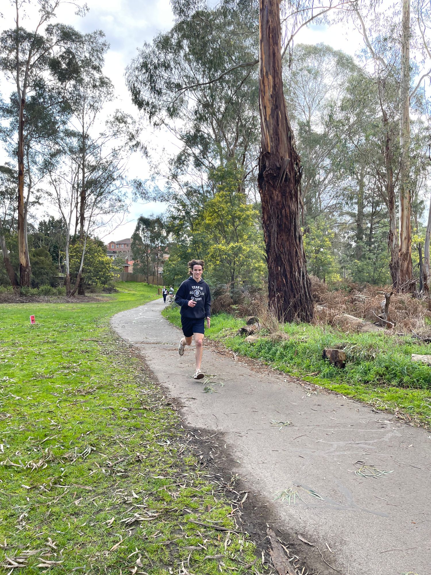 pixevety - Cross Country Album 2